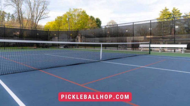 Pickleball Line Call Rules – Making the Right Decision - Pickleball Hop